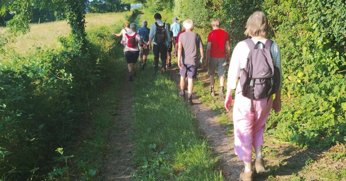 Upham circular - Ramblers